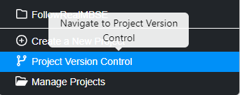 Project Version Control Overview